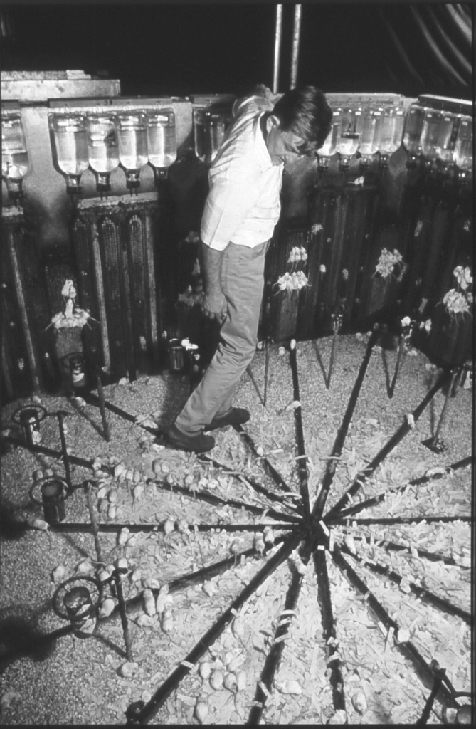 Universo 25 - Revista C2