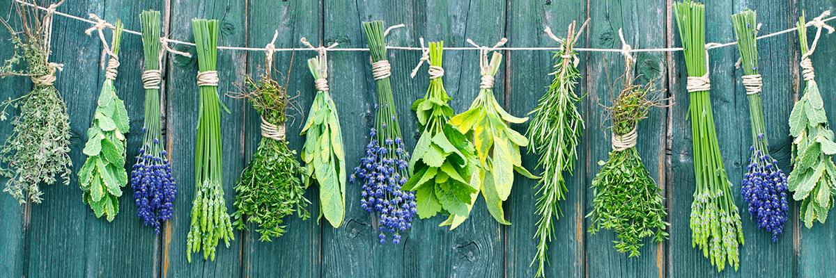 herbolaria - Revista C2