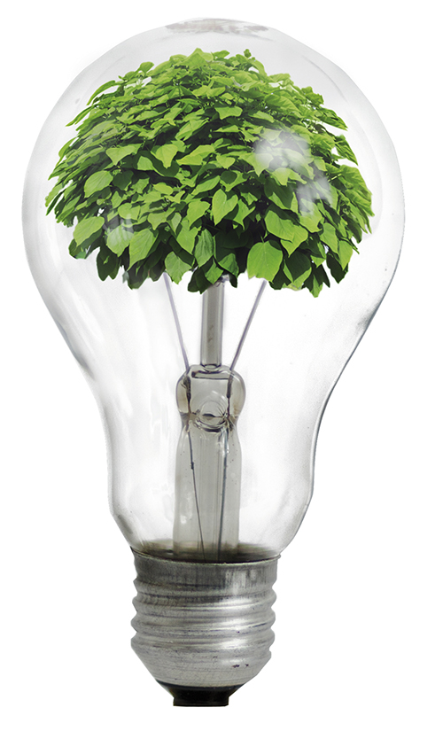 foco_renovable - Revista C2