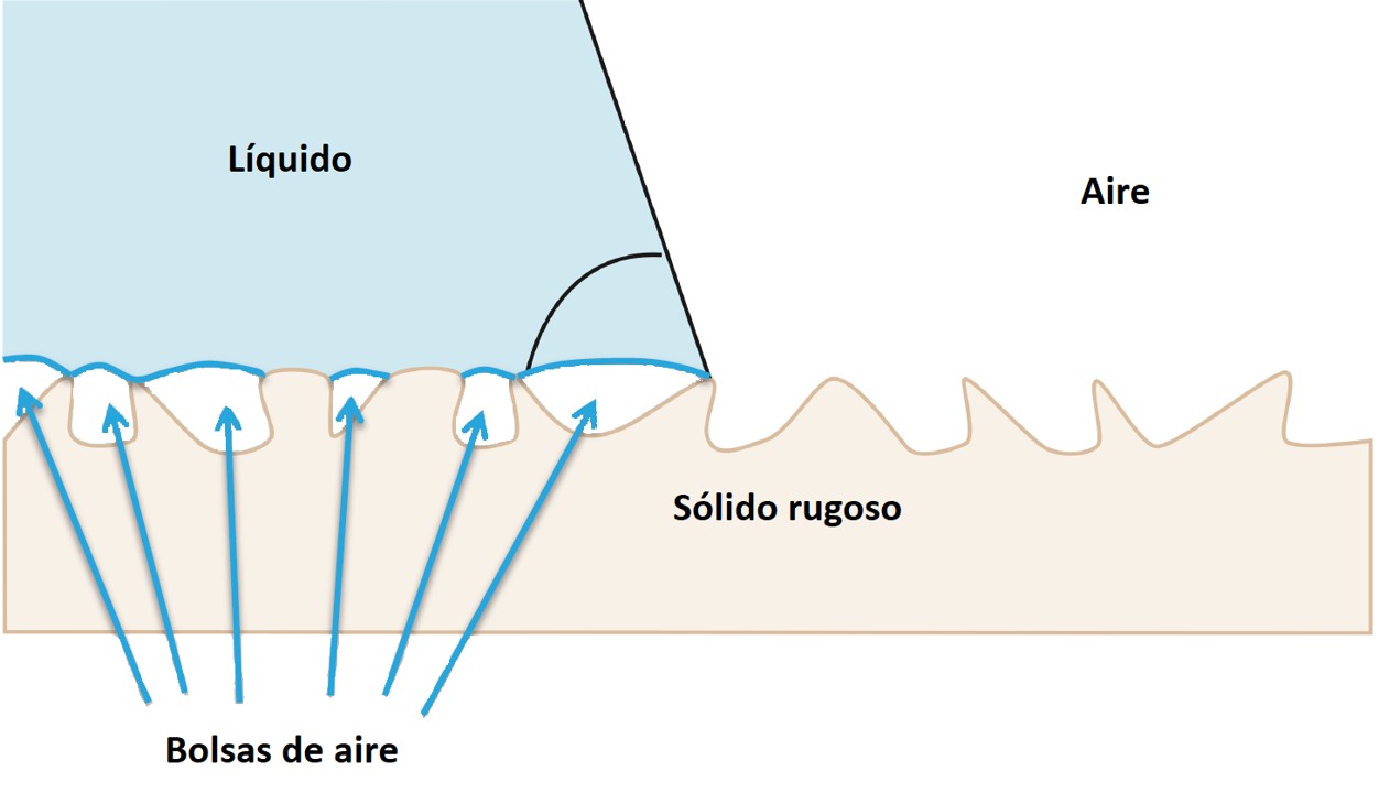 El fenómeno de mojado - Revista C2