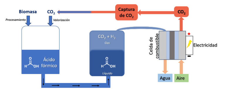 El impacto del ácido fórmico en ciencia y tecnología desde una ...